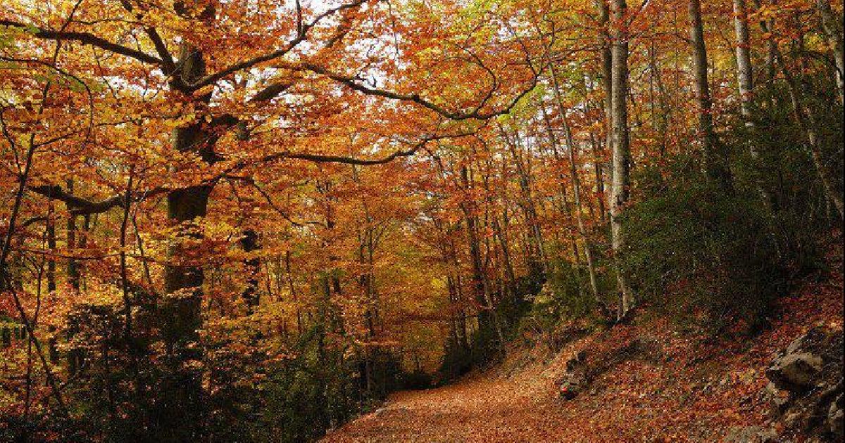 TOP 5: Best Places to Enjoy Autumn in Catalonia